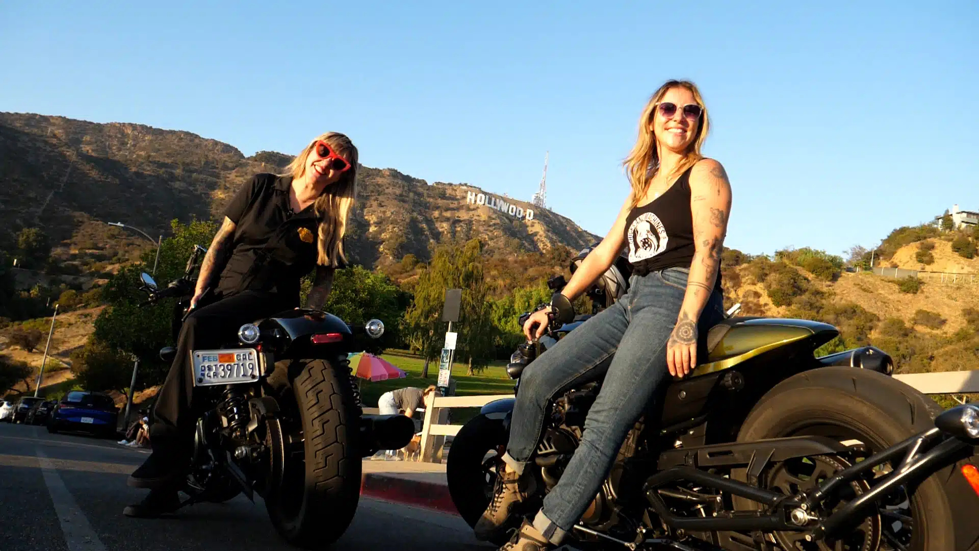 Chicks and Machines | Hg distribution